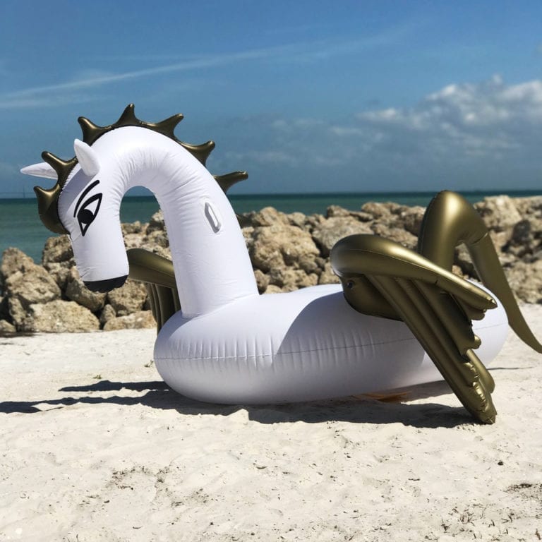 Inflatable Pool Float - Pegasus Float